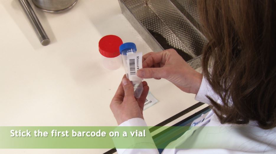 Splitting – SoilCares