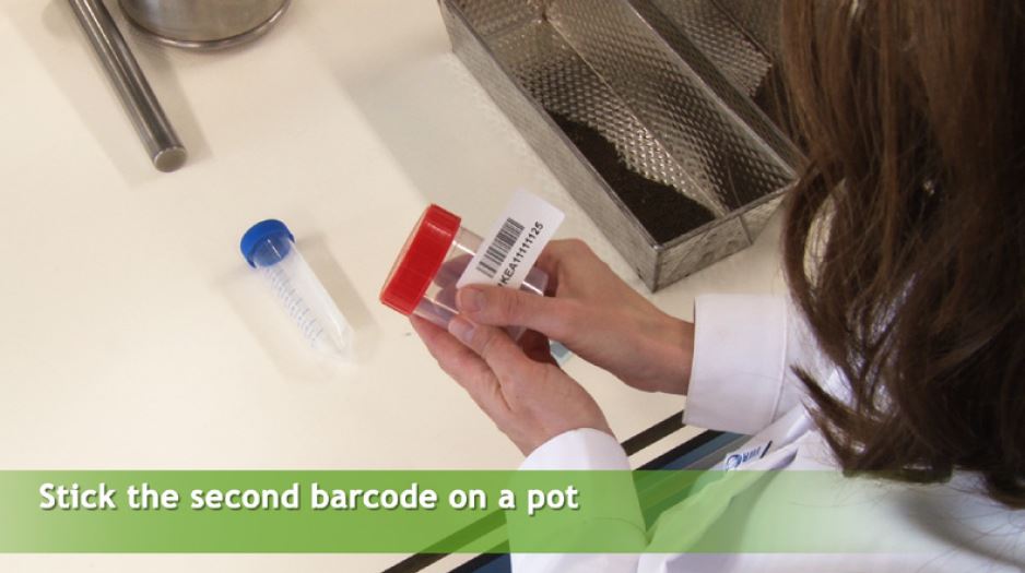 Splitting – SoilCares